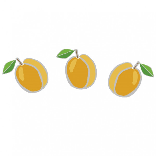 Marille - Obstbau Palmberger - Bauernladen