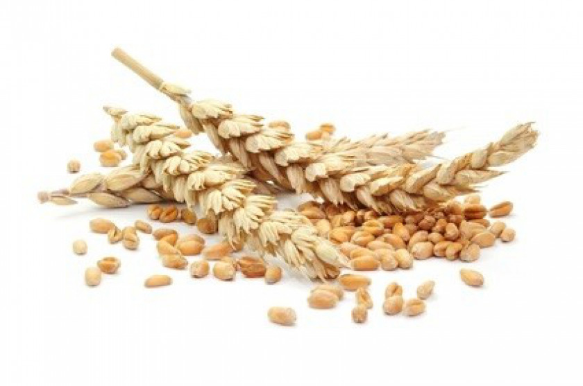 BIO Weizen Mehl "griffig" - BioHof Wellinger - Bauernladen