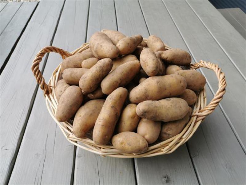 Bio Linzer Delikatess - Niedermayer Bio Kartoffeln - Bauernladen