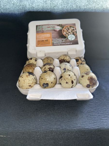 Wachteleier roh 12er - Wachtelhof Jäger - Bauernladen