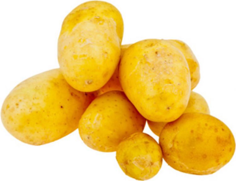 Erdäpfel "Heurige" - ADAMAH BioHof - Bauernladen