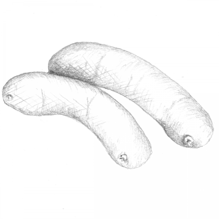 Weißwurst - Metzgerei Beck - Bauernladen