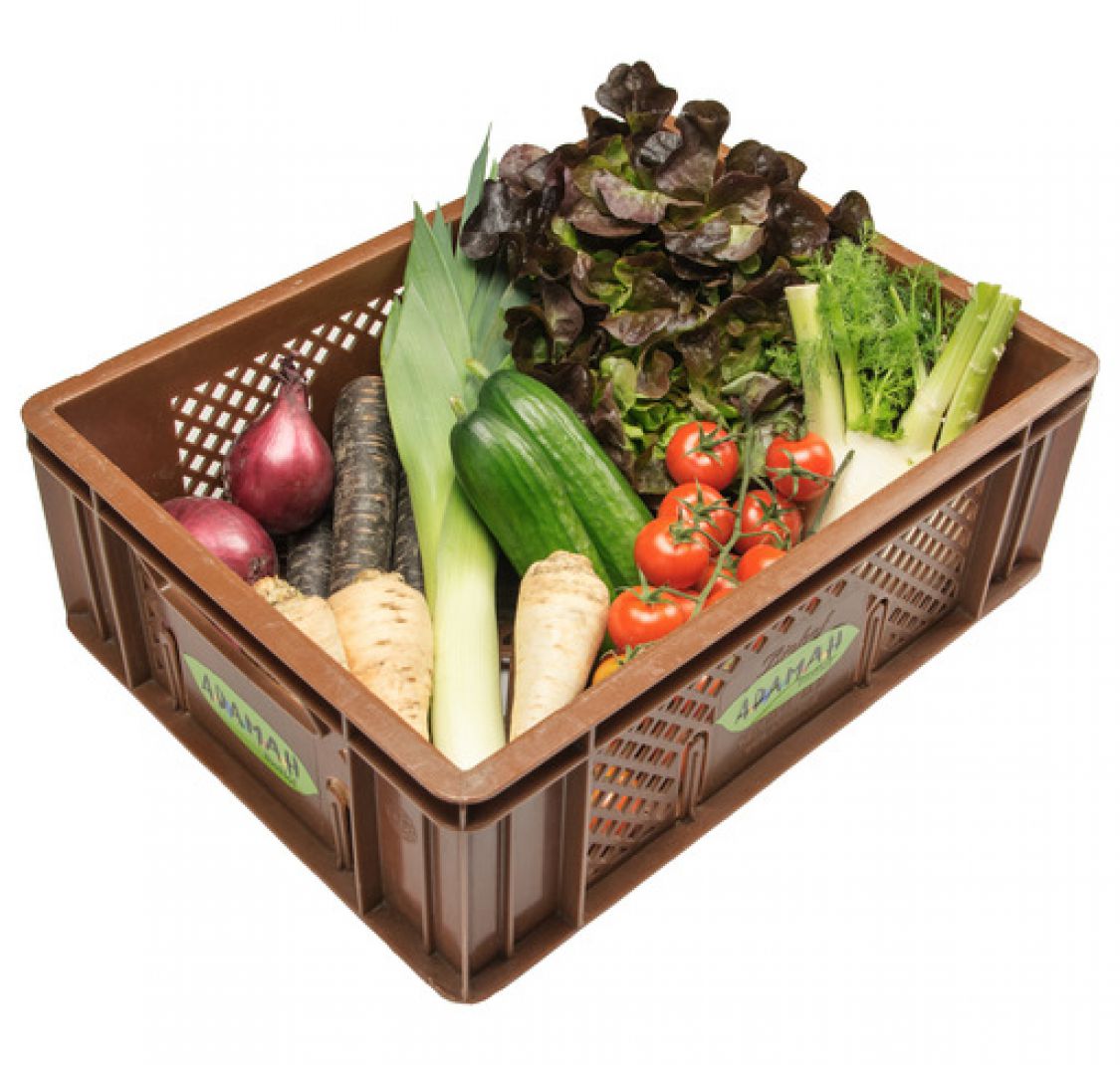 Gemüse - Kistl mini - ADAMAH BioHof - Bauernladen