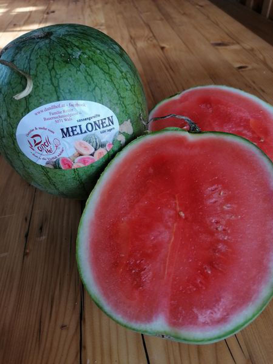 Melonen Vielfalt - Dandlhof - Bauernladen