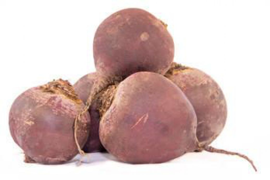 Rote Rüben (neue Ernte) - ADAMAH BioHof - Bauernladen