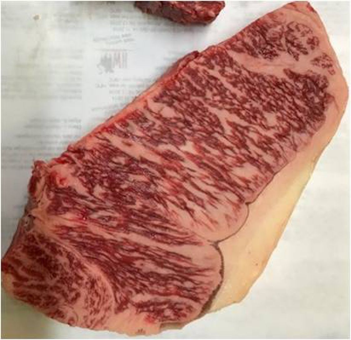 Beiried im Stück - Reindl Hausruck Wagyu - Bauernladen